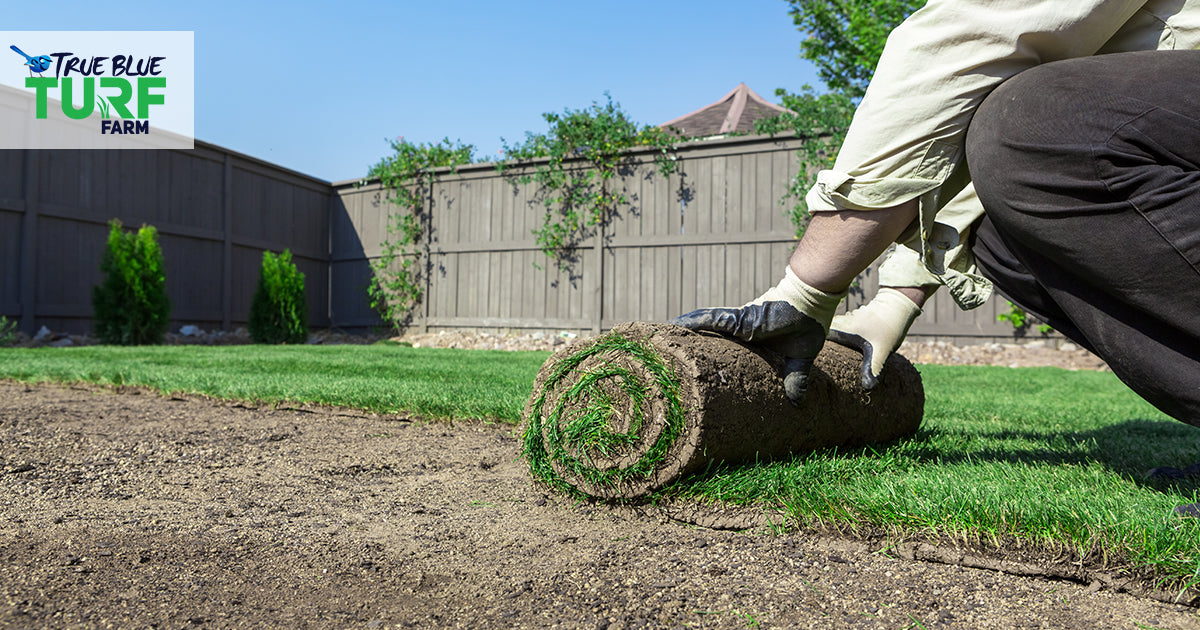 Natural turf – trueblueturf