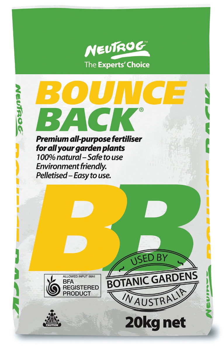 Bounce Back – trueblueturf
